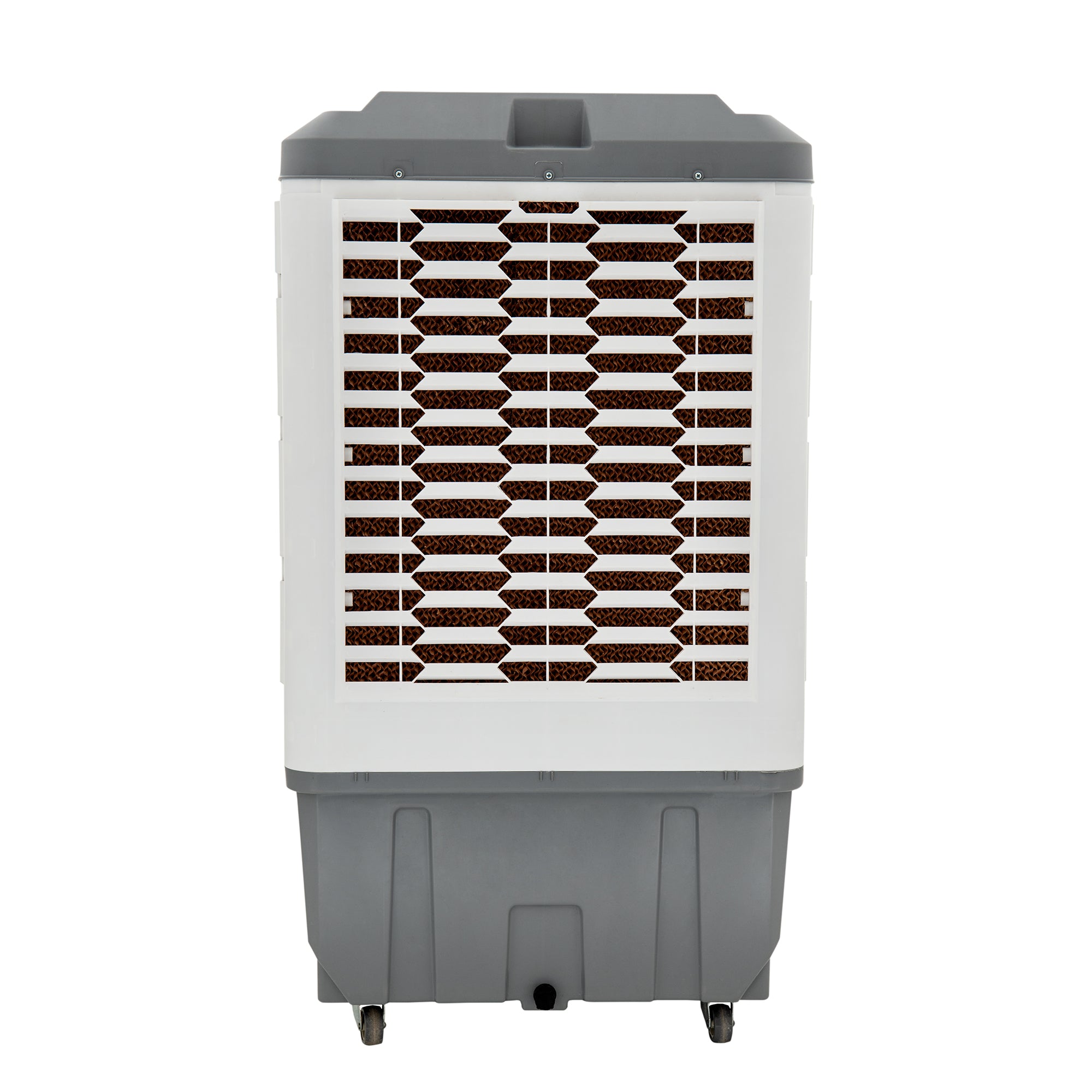 Buy Canon CA-6500 Room Cooler – Affordable Air Cooler – Canon Home ...